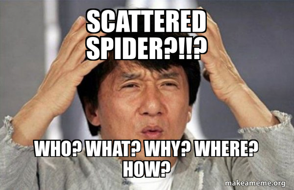 Scattered spider?!!? Who? What? Why? Where? How? - Jackie Chan Why? Meme Generator