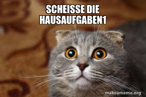 Scheiße DIE hAUSAUFGABEN1 Meme Generator