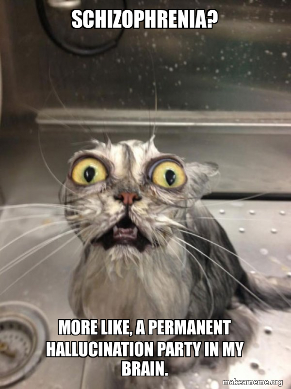 Schizophrenia? More like, a permanent hallucination party in my brain. - Cat bath Meme Generator