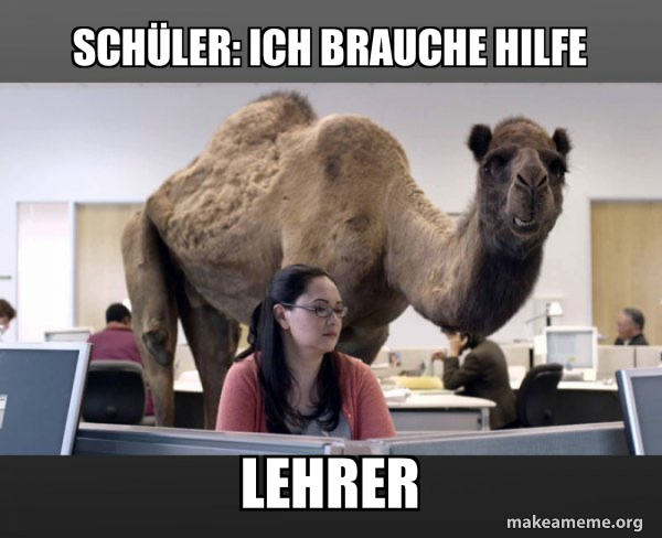 Schüler: Ich brauche Hilfe Lehrer - Hump Day Camel Meme Generator