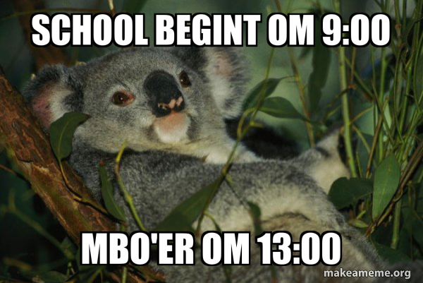 school begint om 9:oo mbo'er om 13:00 - Laid Back Koala Meme Generator