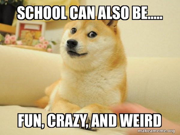 School can also be..... FUN, CRAZY, and WEIRD - Doge Meme Generator