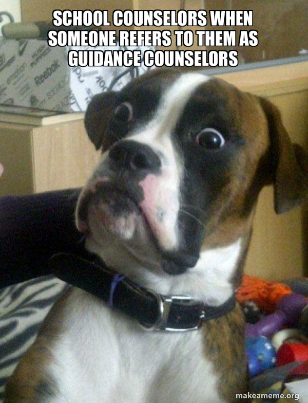 School Counselors when someone refers to them as Guidance Counselors ...