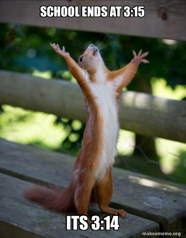 school ends at 3:15 its 3:14 - Happy Squirrel Meme Generator