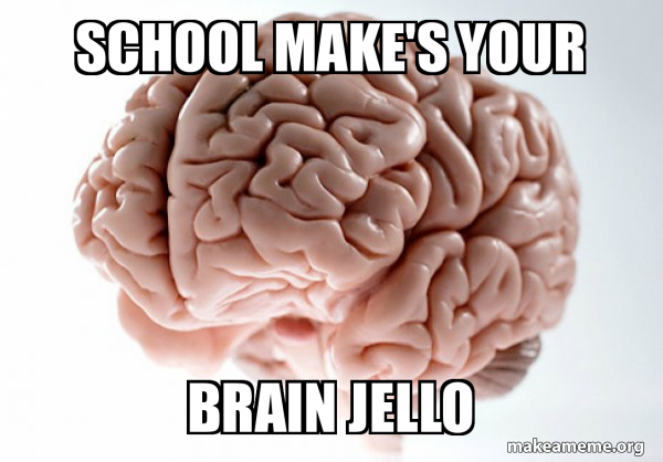 School make's your brain Jello - Scumbag Brain Meme Generator