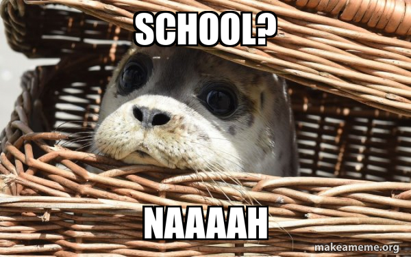 School? Naaaah - Impending Doom Seal Meme Generator