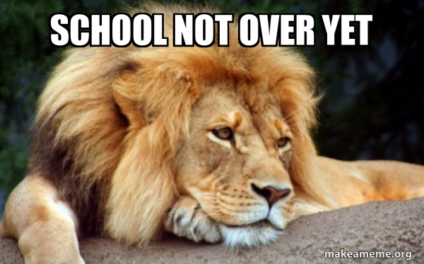 school not over yet - Confession Lion Meme Generator