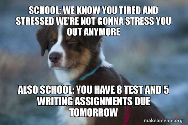 Stressed Dog Meme