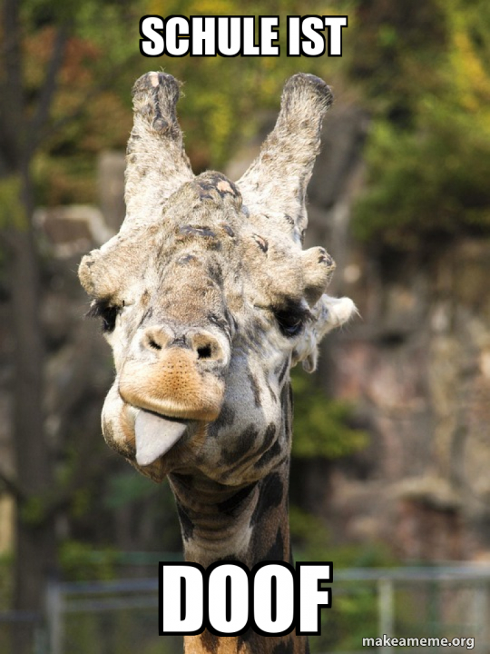 Schule ist doof Meme Generator