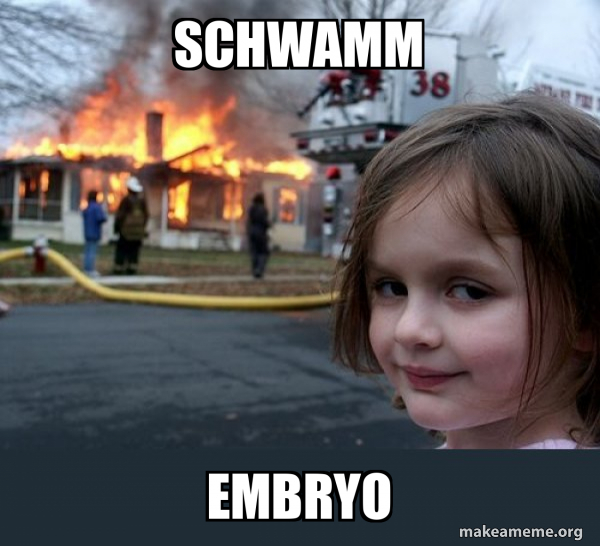 Schwamm Embryo - Disaster Girl Meme Generator