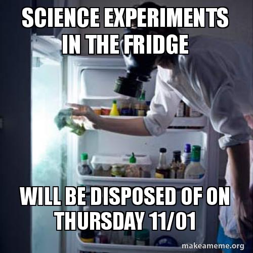 Experiment Memes