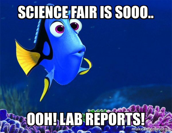 science fair is sooo.. ooh! lab reports! - Dory from Nemo (5 second ...
