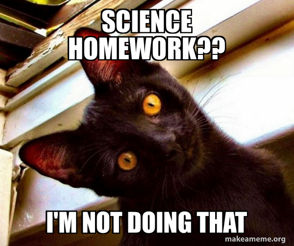 science homework?? i'm not doing that - Overly Attached Cat Meme Generator