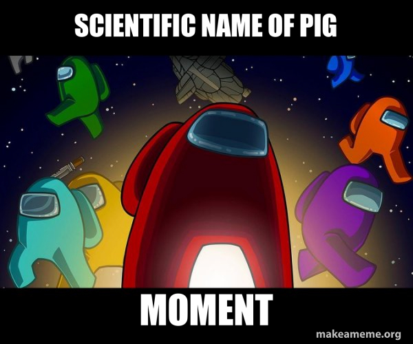 Scientific name of pig Moment - Among Us Meme Generator