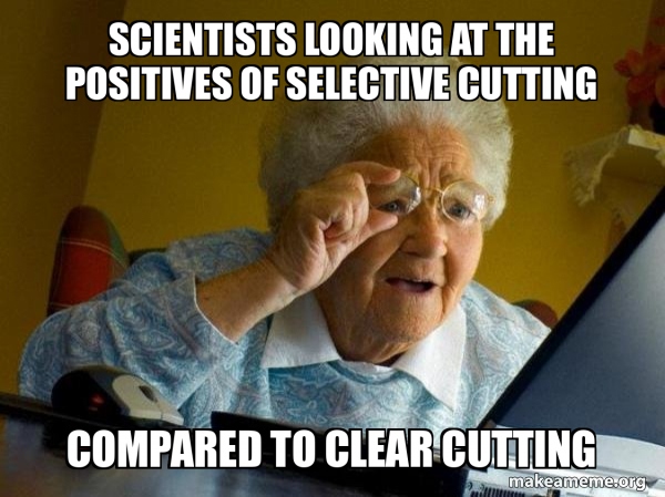 scientists looking at the positives of selective cutting compared to ...