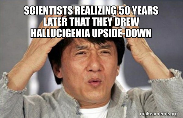 Scientists realizing 50 years later that they drew Hallucigenia upside ...