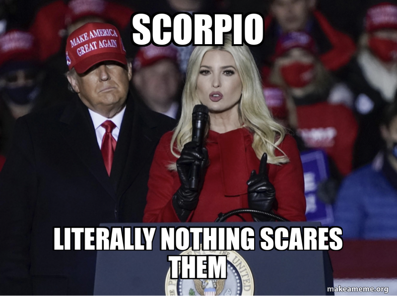 scorpio literally nothing scares them Meme Generator