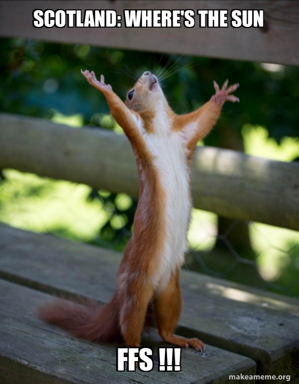Scotland: Where's the Sun FFS !!! - Happy Squirrel Meme Generator