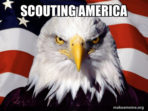 Scouting America - American Pride Eagle Meme Generator