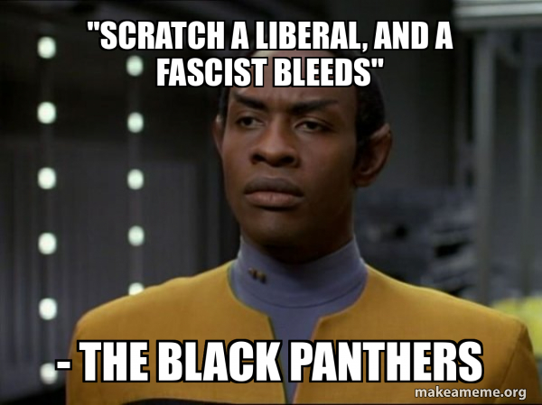 "Scratch a Liberal, and a Fascist bleeds" - The Black Panthers ...