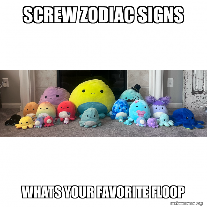 Screw zodiac signs Whats your favorite floop Meme Generator