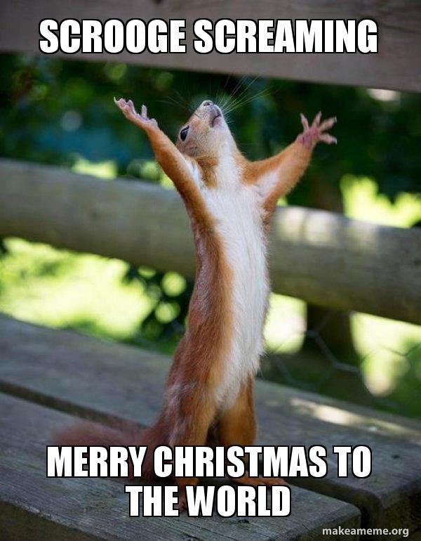 Scrooge screaming Merry Christmas to the world - Happy Squirrel Meme ...