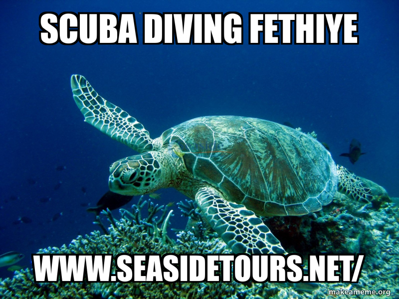 Scuba diving fethiye www.seasidetours.net/ Meme Generator