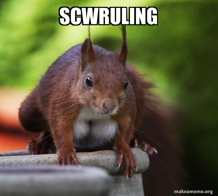 scwruling Meme Generator