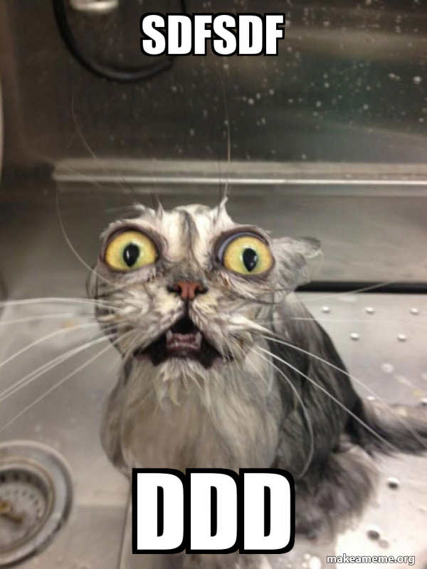 sdfsdf ddd - Cat bath Meme Generator
