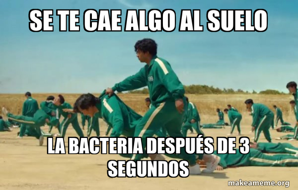 Se te cae algo al suelo La bacteria después de 3 segundos - Squid Game ...