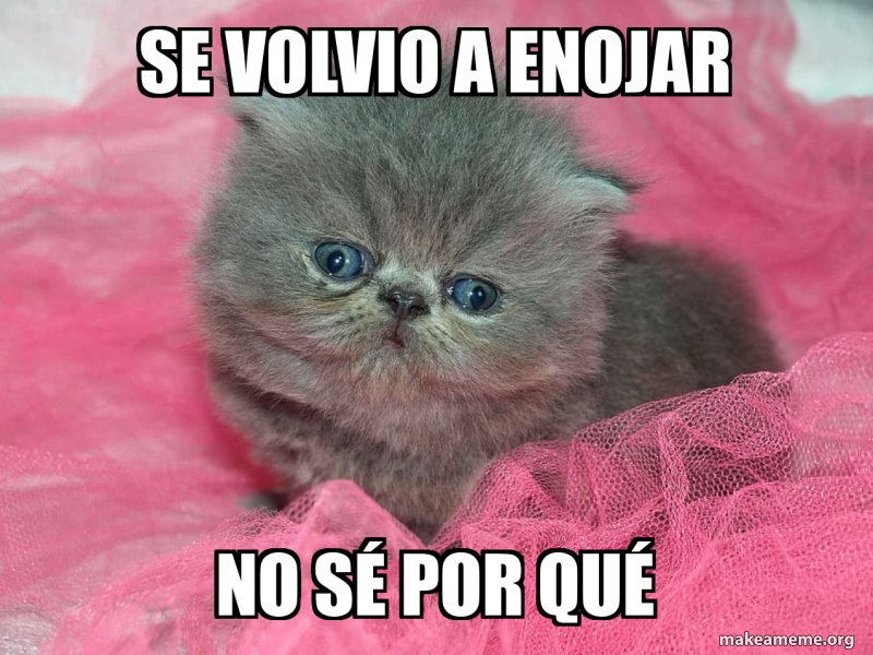 Se volvio a enojar No Sé Por Qué Meme Generator