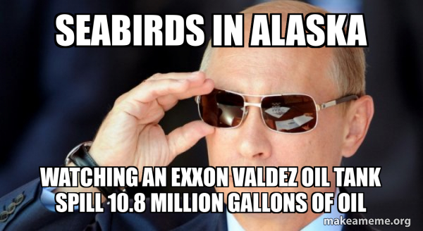 Seabirds in alaska Watching an exxon valdez oil tank spill 10.8 million gallons of oil ...