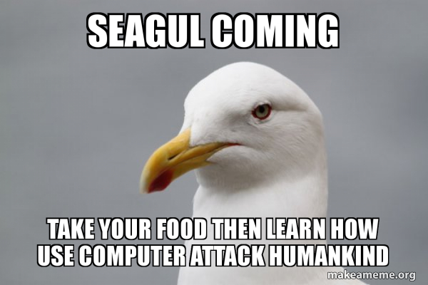 Seagull Attack Memes