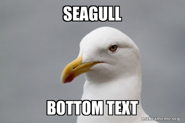Seagull Bottom text - Stuff That Didn't Happen Seagull Meme Generator