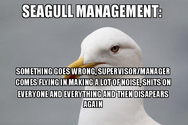 seagull management: Something goes wrong, supervisor/manager comes ...