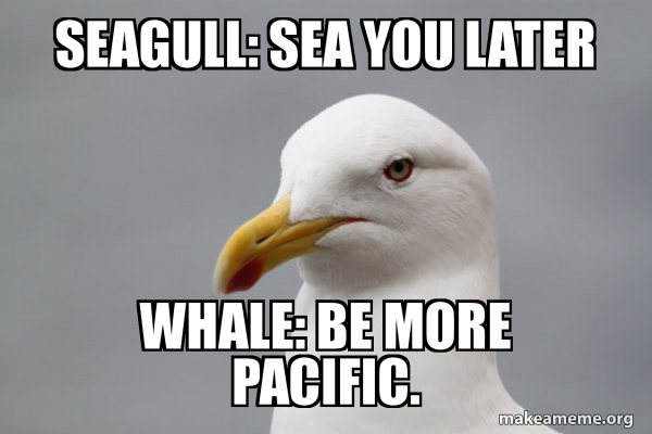 Seagull: Sea you later Whale: Be more pacific. - Stuff That Didn't ...