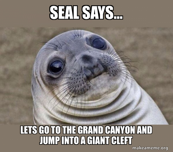 Seal says... Lets go to the grand canyon and jump into a giant cleft ...