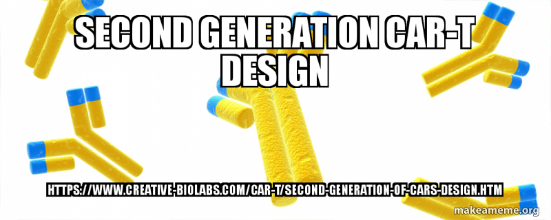 second generation CAR-T design https://www.creative-biolabs.com/car-t ...