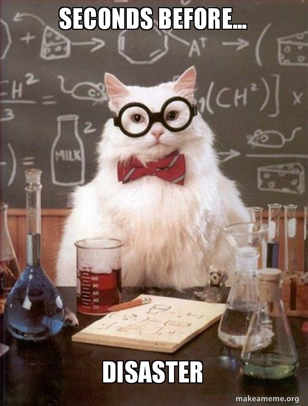 SECONDS BEFORE... disaster - Chemistry Cat Meme Generator