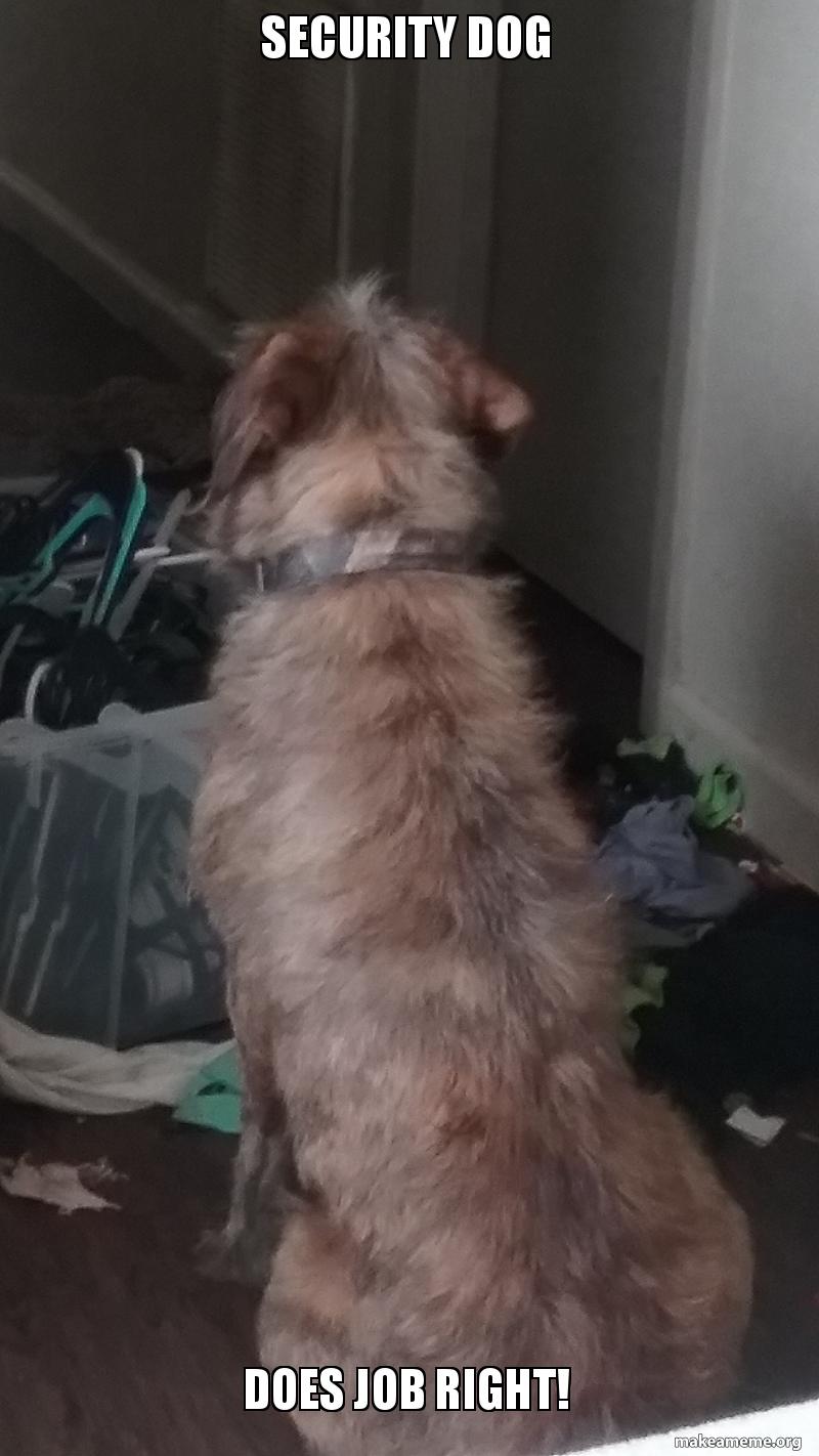 Security Dog Does Job Right! Meme Generator