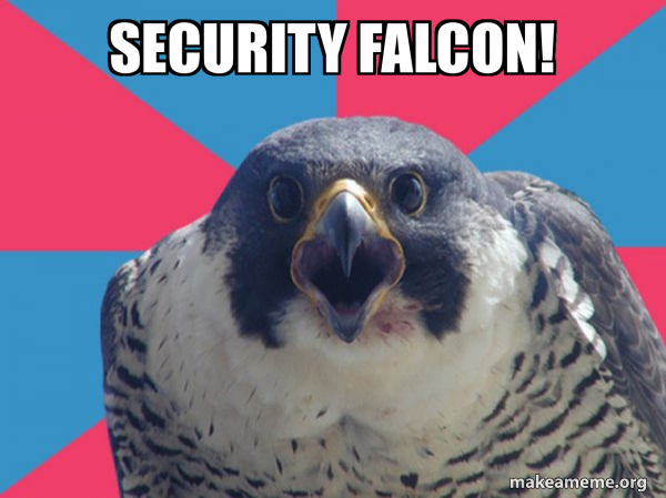 Security Falcon! - Millennial Falcon Meme Generator