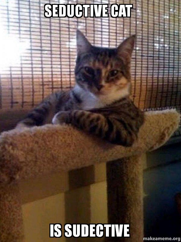 Seductive Cat Is sudective - The Most Interesting Cat in the World | Make a Meme