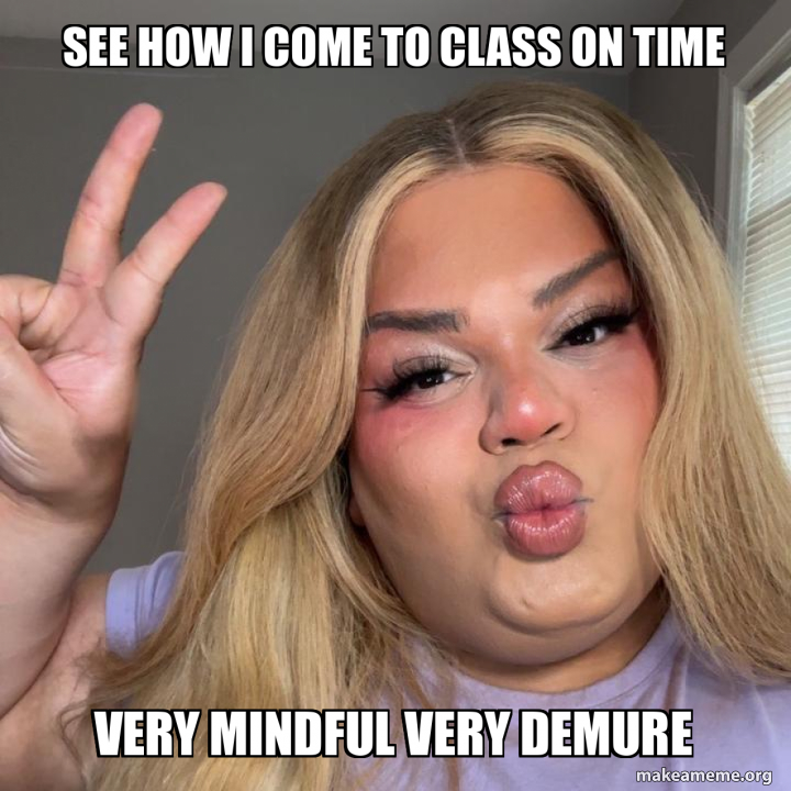 see how i come to class on time very mindful very demure Meme Generator