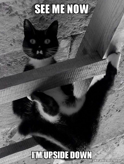 See me now i'm upside down Meme Generator