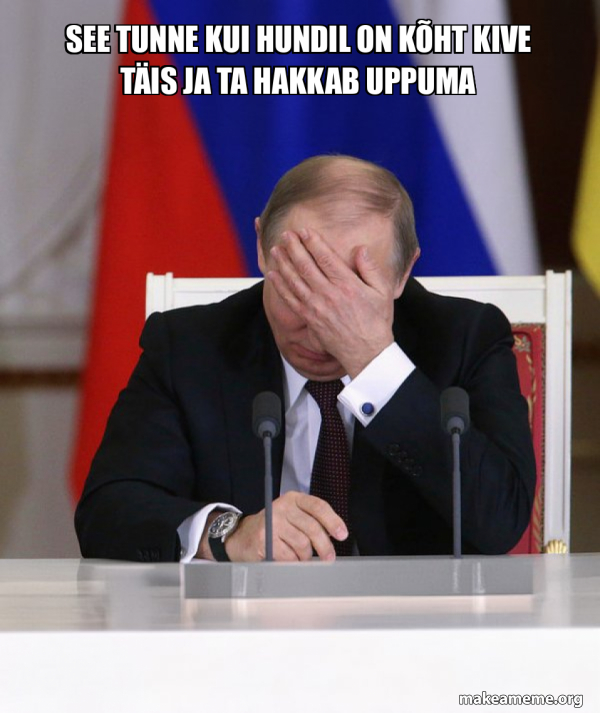 See tunne kui hundil on kõht kive täis ja ta hakkab uppuma - Putin ...