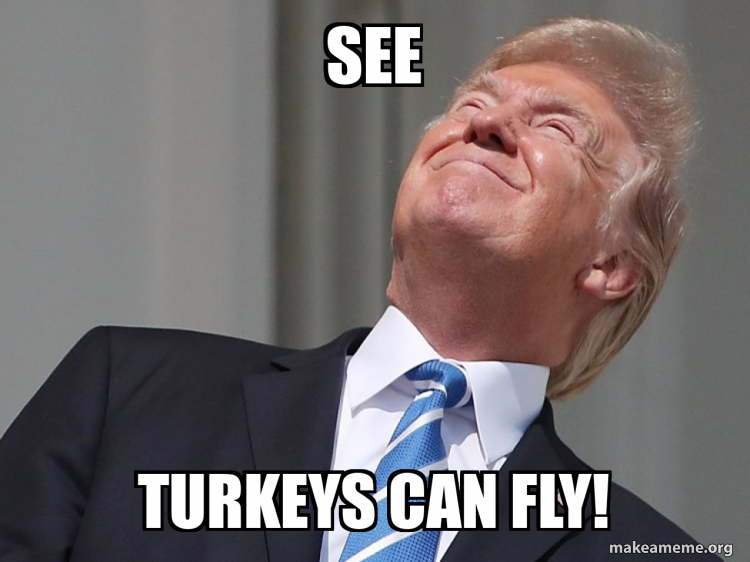 See turkeys can fly! Meme Generator