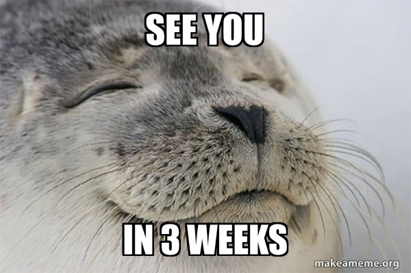 See You in 3 Weeks - Satisfied Seal Meme Generator