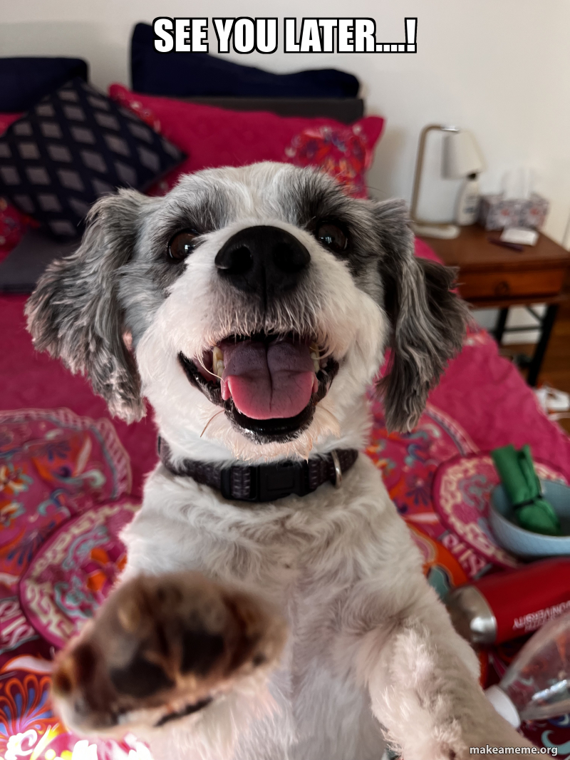 See you later....! Meme Generator