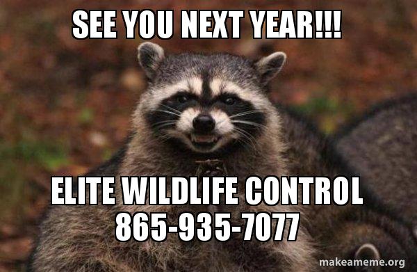 See you next year!!! Elite Wildlife Control 865-935-7077 - Evil ...