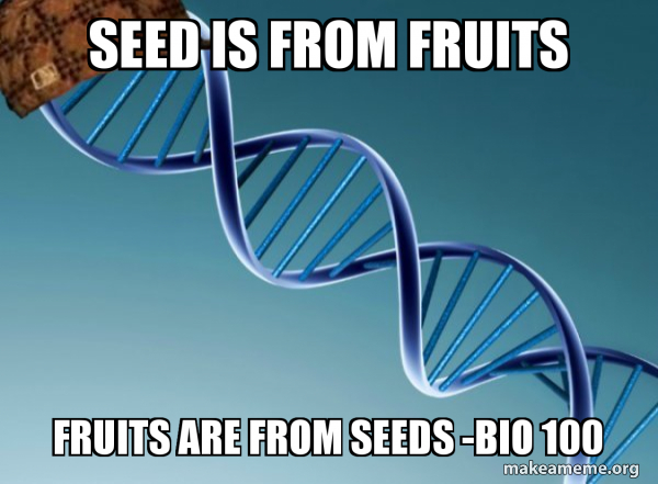 SEED IS FROM FRUITS FRUITS ARE FROM SEEDS -BIO 100 - Scumbag Genetics ...